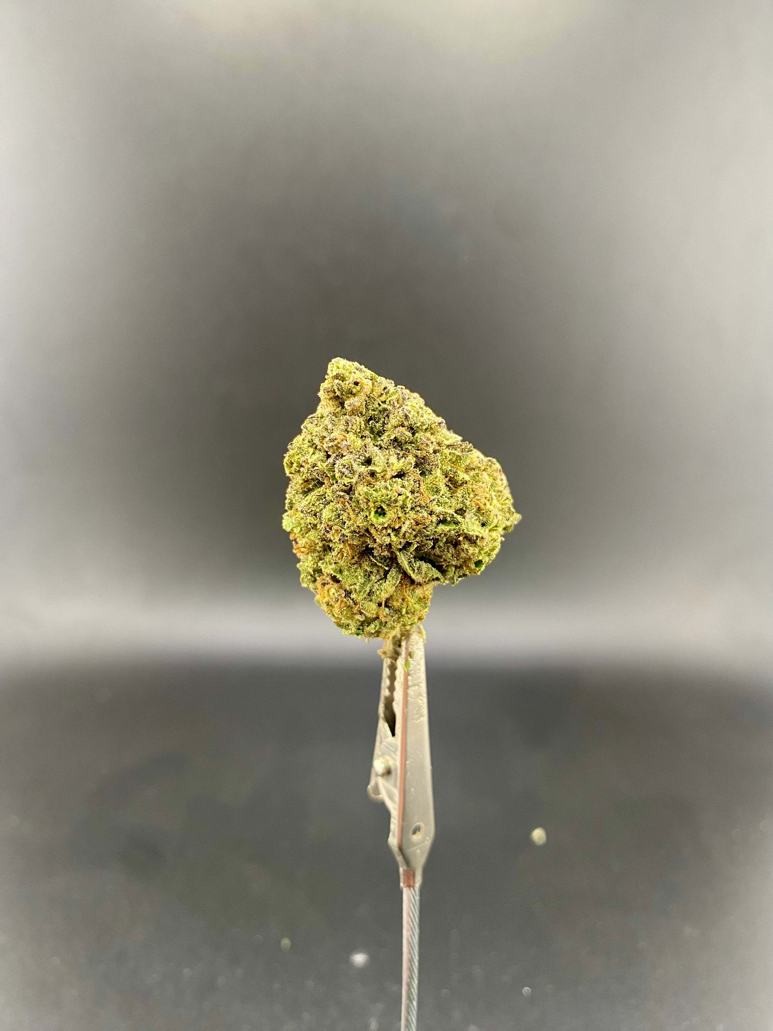 Gary Payton THCA Flower – 24% 🏀🔥 | Connor's Goody Bag- Premium Adult ...